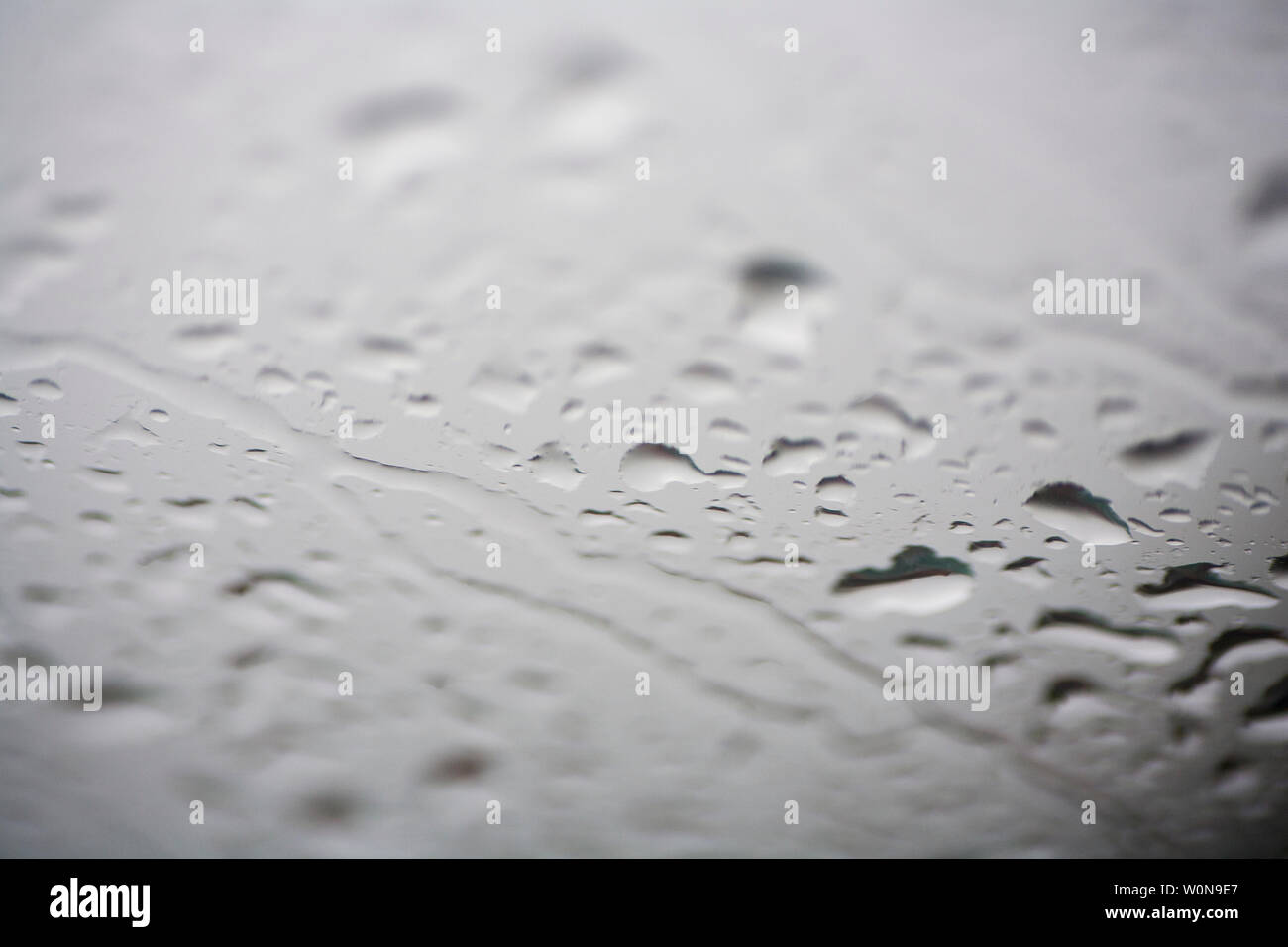 Gray rain drops on window macro background fine art in high quality ...