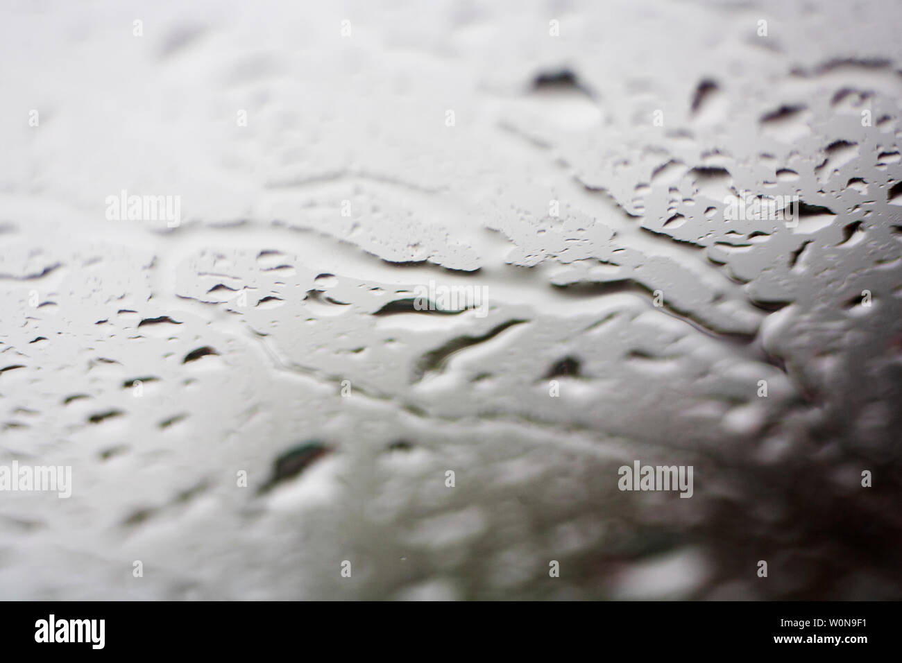Gray rain drops on window macro background fine art in high quality ...