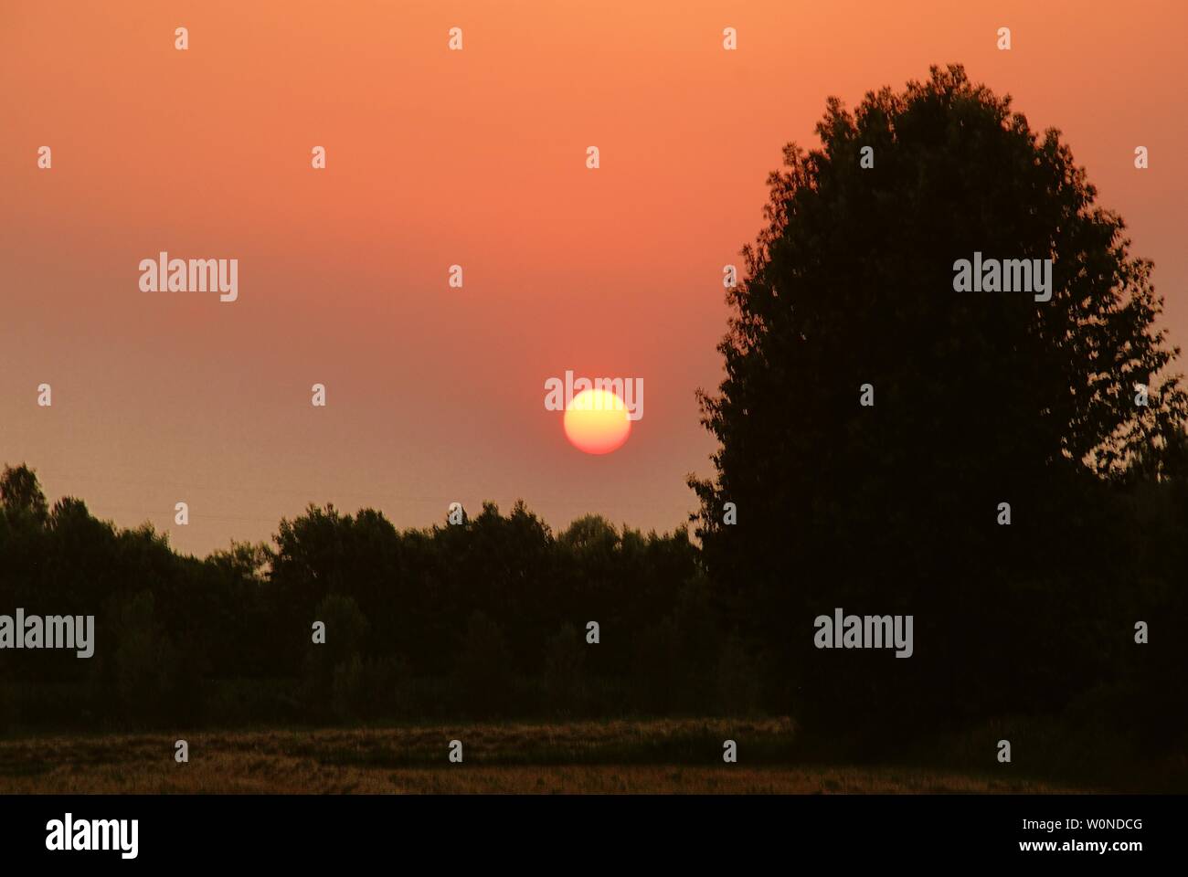 Temperatures over 40 degrees hi-res stock photography and images - Alamy