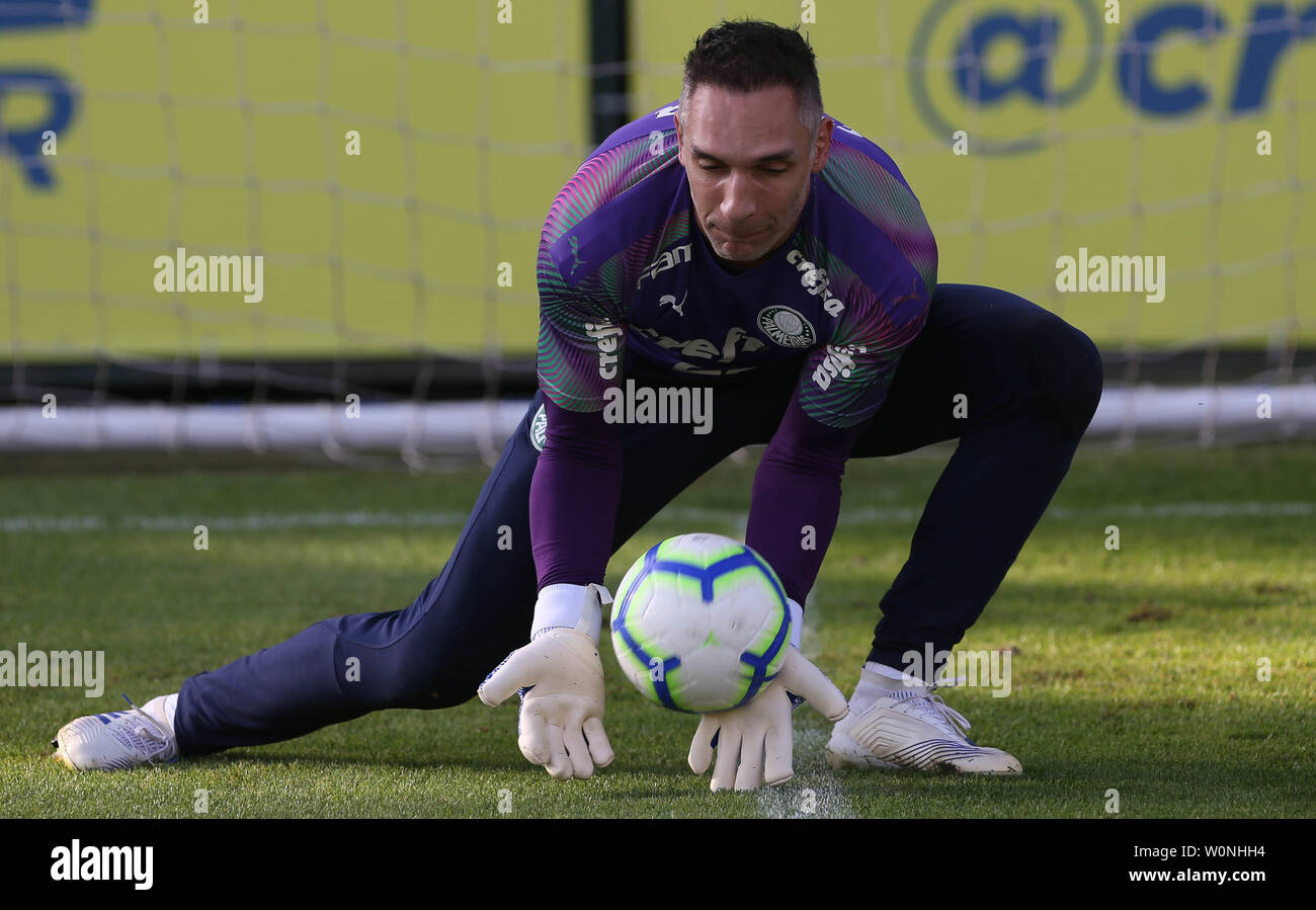 SÃO PAULO, SP - 27.06.2019: TREINO DO PALMEIRAS - Goalkeeper Fernando ...