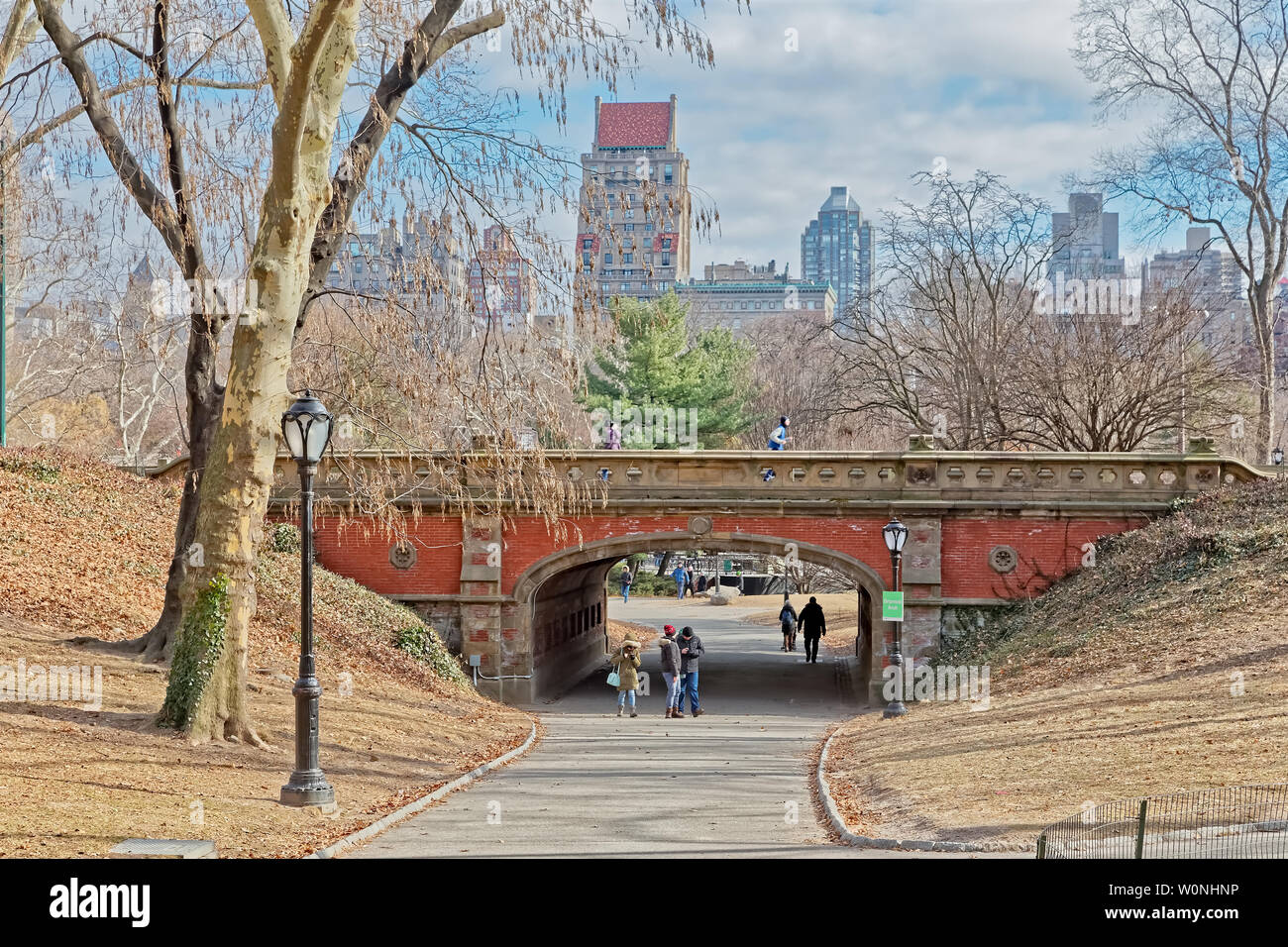 Central Park Bridges And Arches