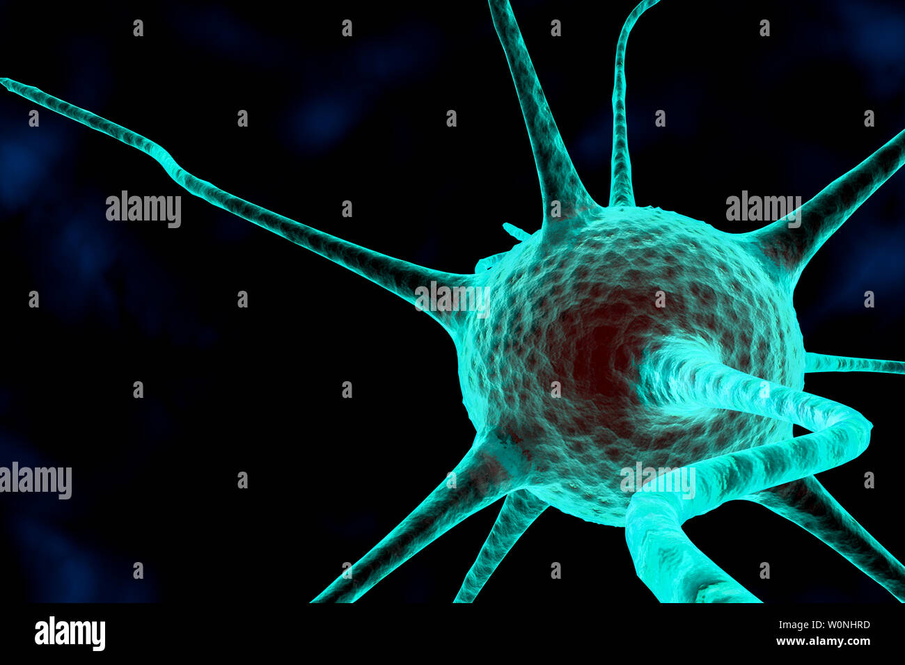 Neurone neuron neurons hi-res stock photography and images - Alamy