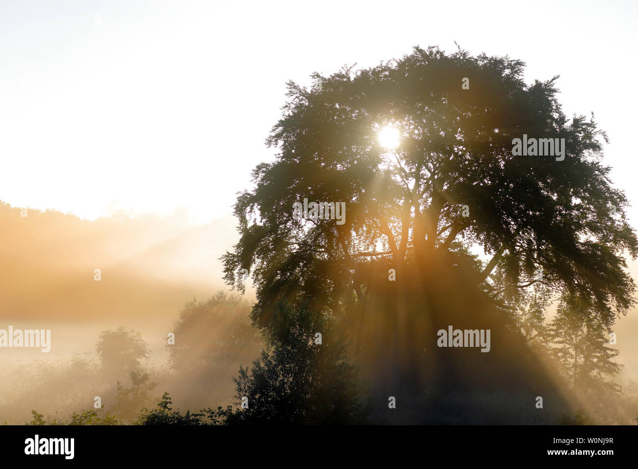 Shining light on a temple hi-res stock photography and images - Alamy
