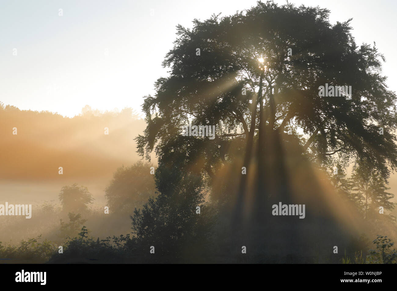 Shining light on a temple hi-res stock photography and images - Alamy