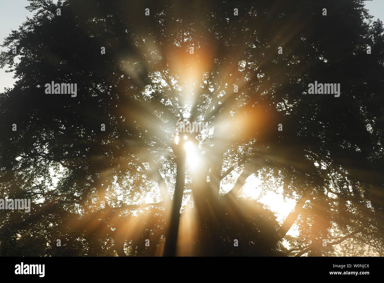 Shining light on a temple hi-res stock photography and images - Alamy