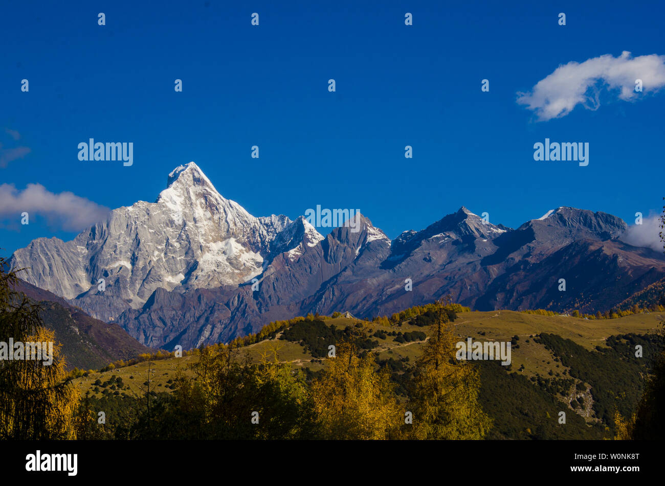 Shushan hi-res stock photography and images - Alamy