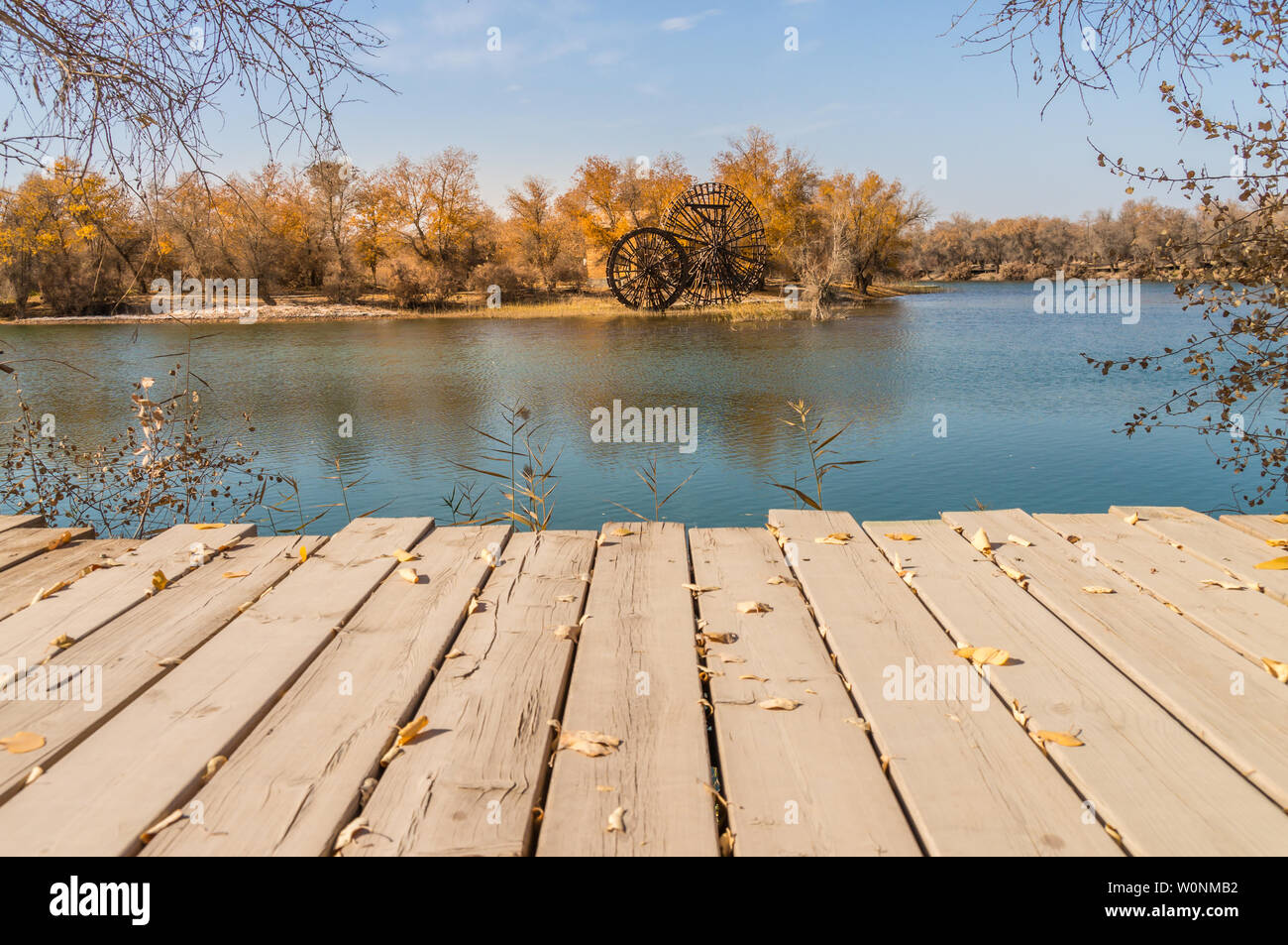 Poplar Lin, lake, reflection, beautiful scenery Stock Photo - Alamy