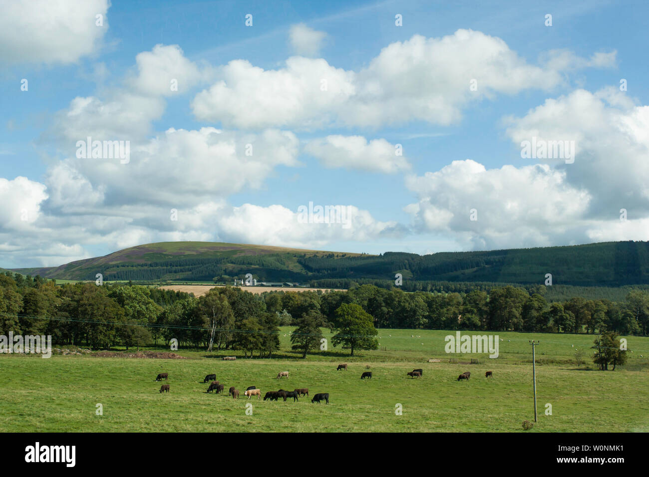 The pastoral scenery of England is like a pastoral song, like an ...