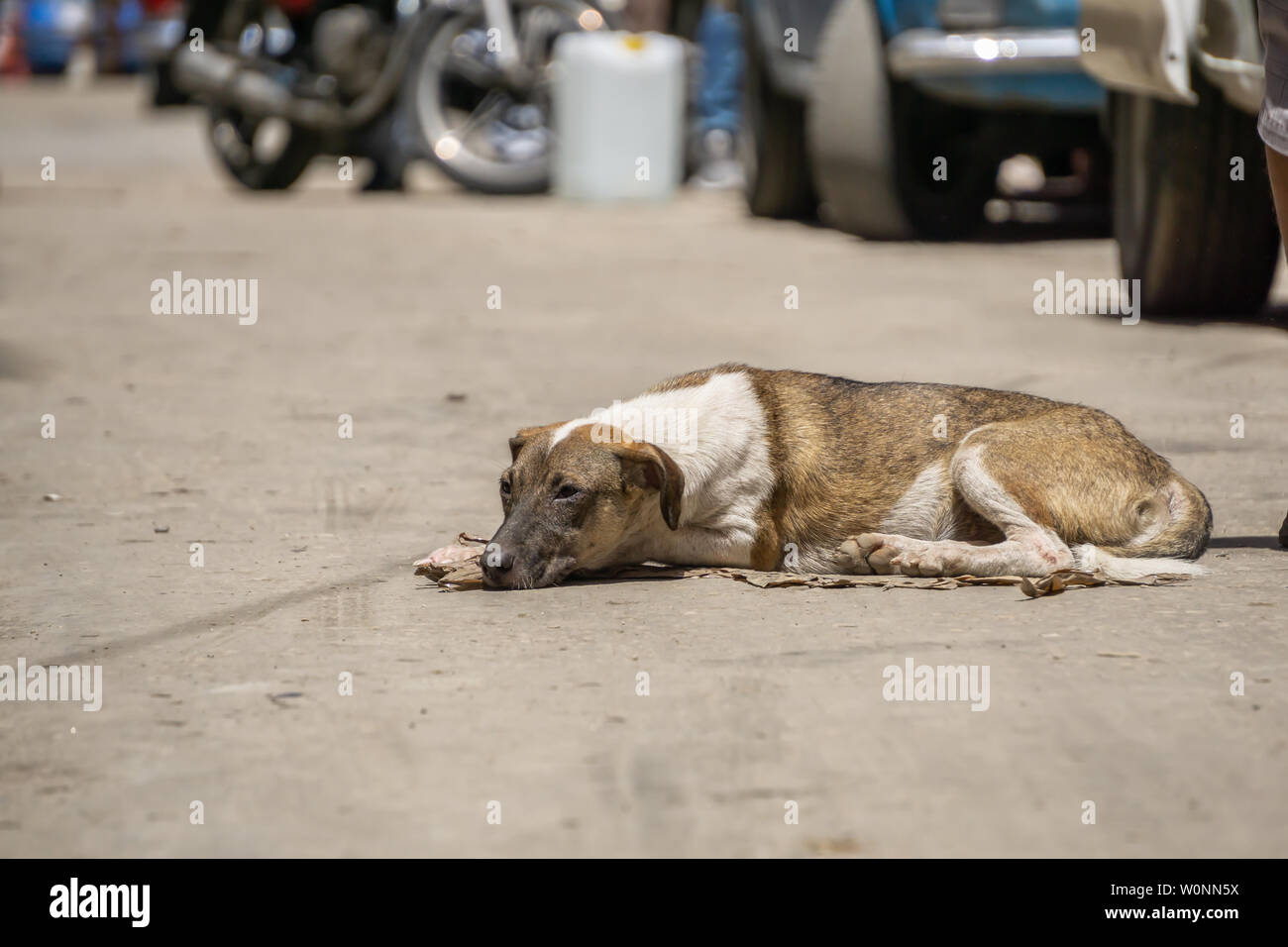 World homeless day hi-res stock photography and images - Alamy