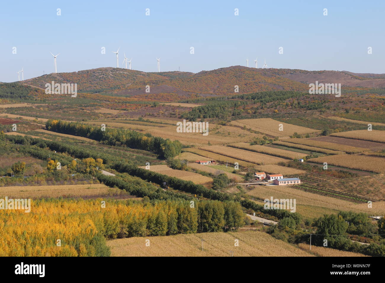 Qiqihar hi-res stock photography and images - Alamy