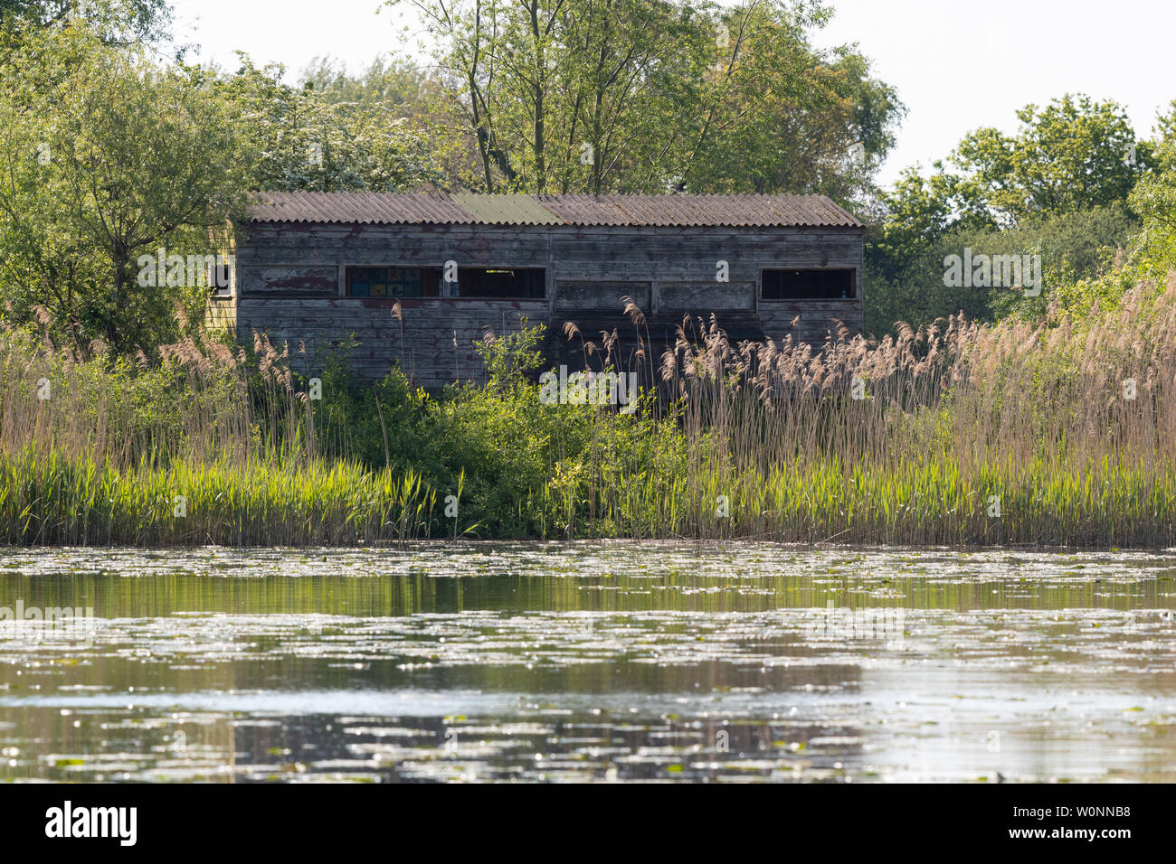Rockland Broad Norfolk High Resolution Stock Photography and Images - Alamy