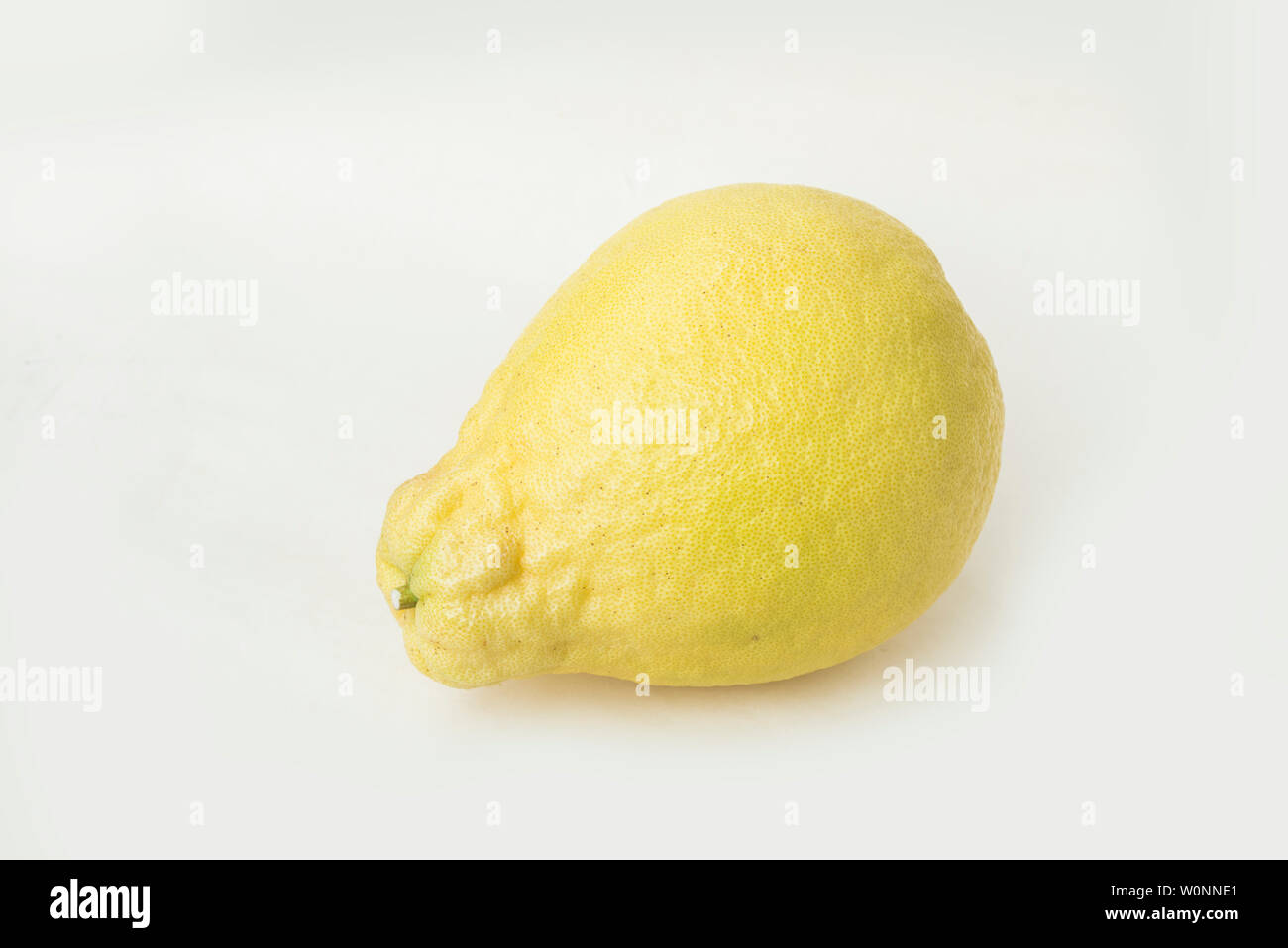 Pericarp hi-res stock photography and images - Alamy