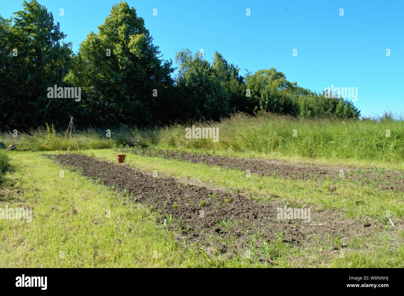 Fertile environment hi-res stock photography and images - Alamy