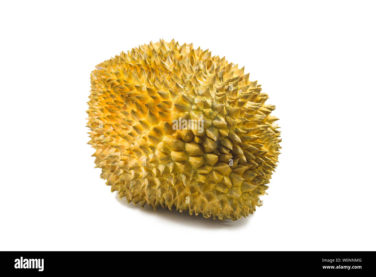 Durian seeds Cut Out Stock Images & Pictures - Alamy Durian seeds Cut Out Stock Images & Pictures - Alamy