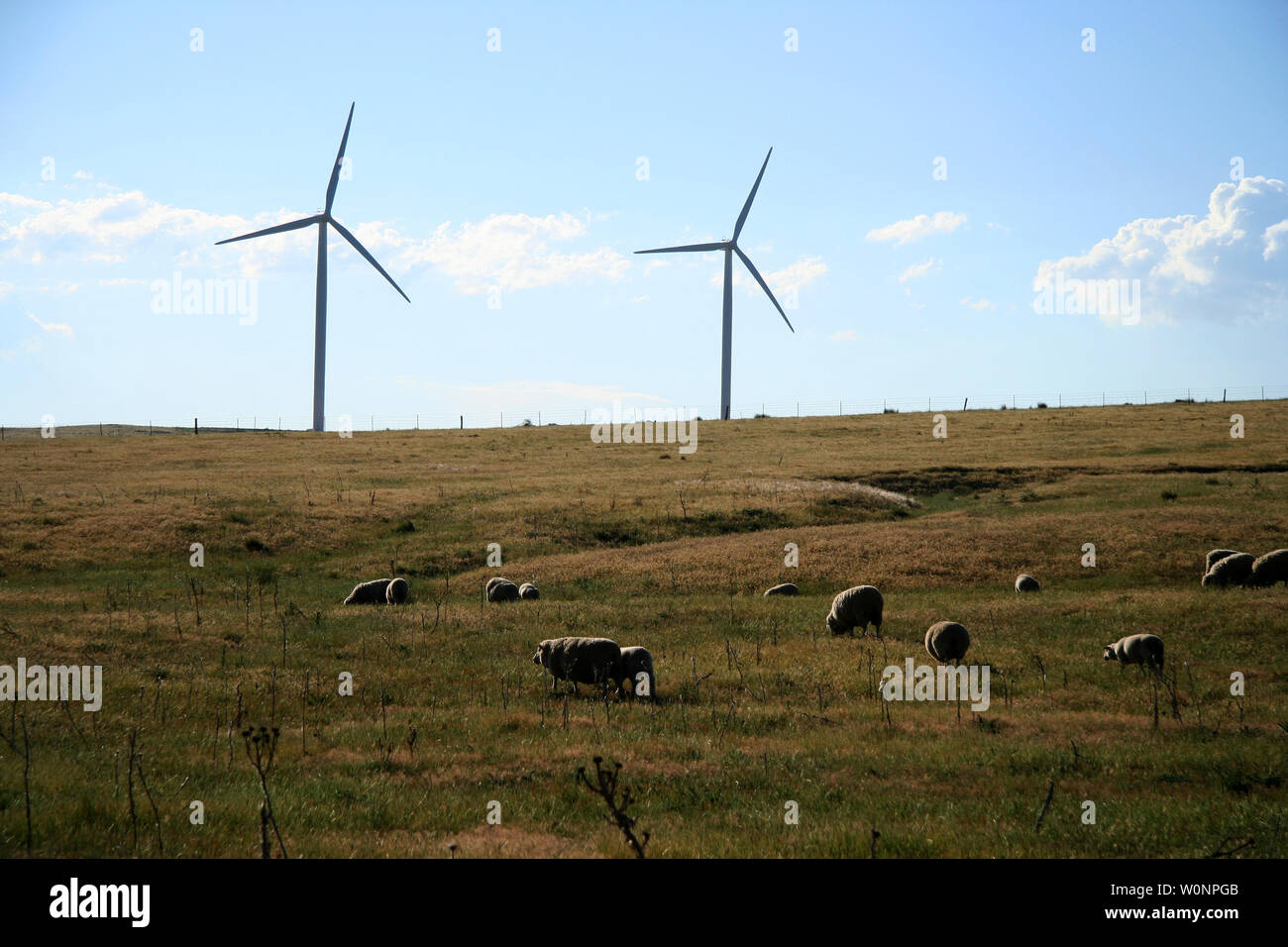 capital wind farm near canberra, australia Stock Photo - Alamy