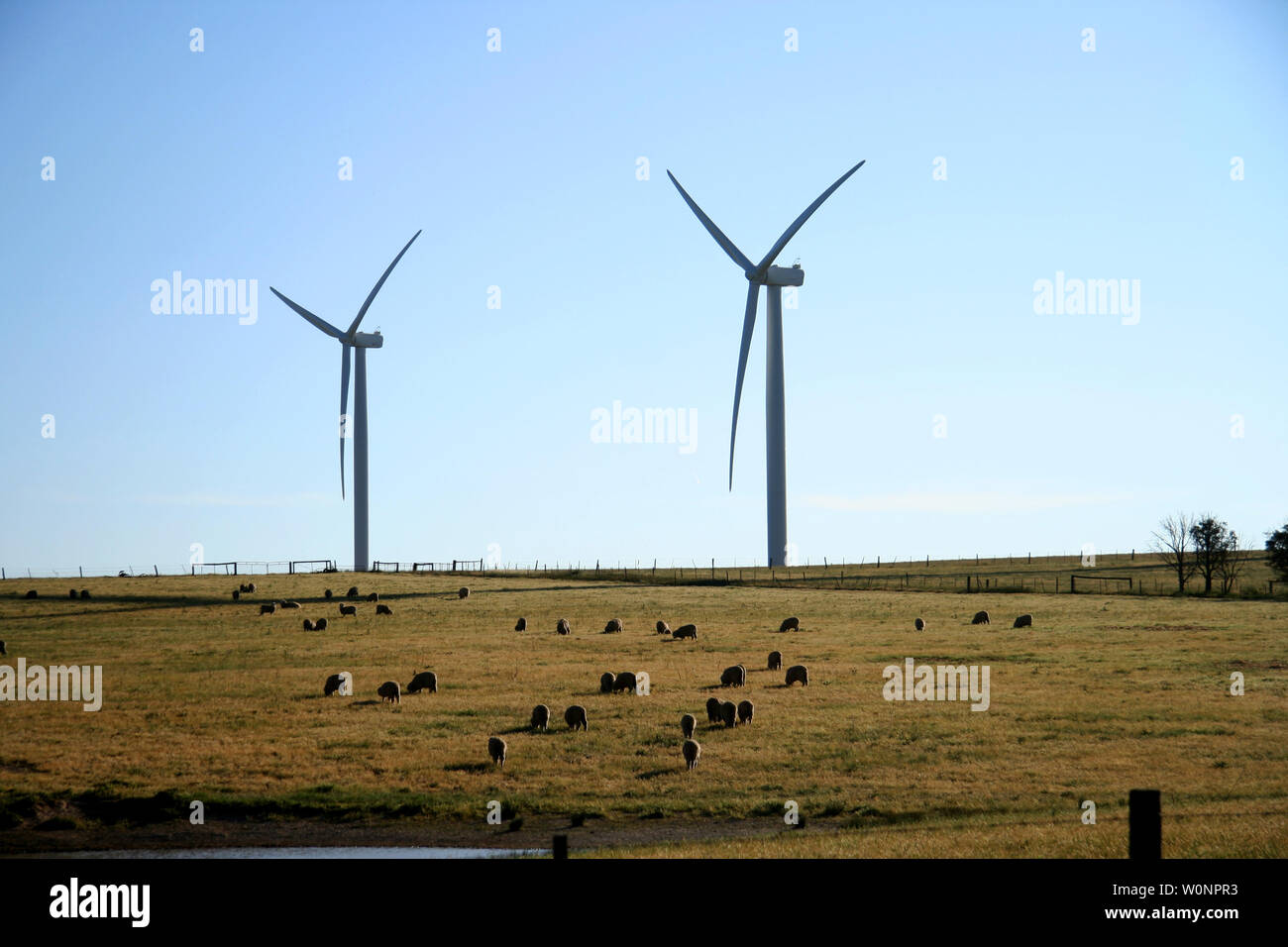 capital wind farm near canberra, australia Stock Photo - Alamy