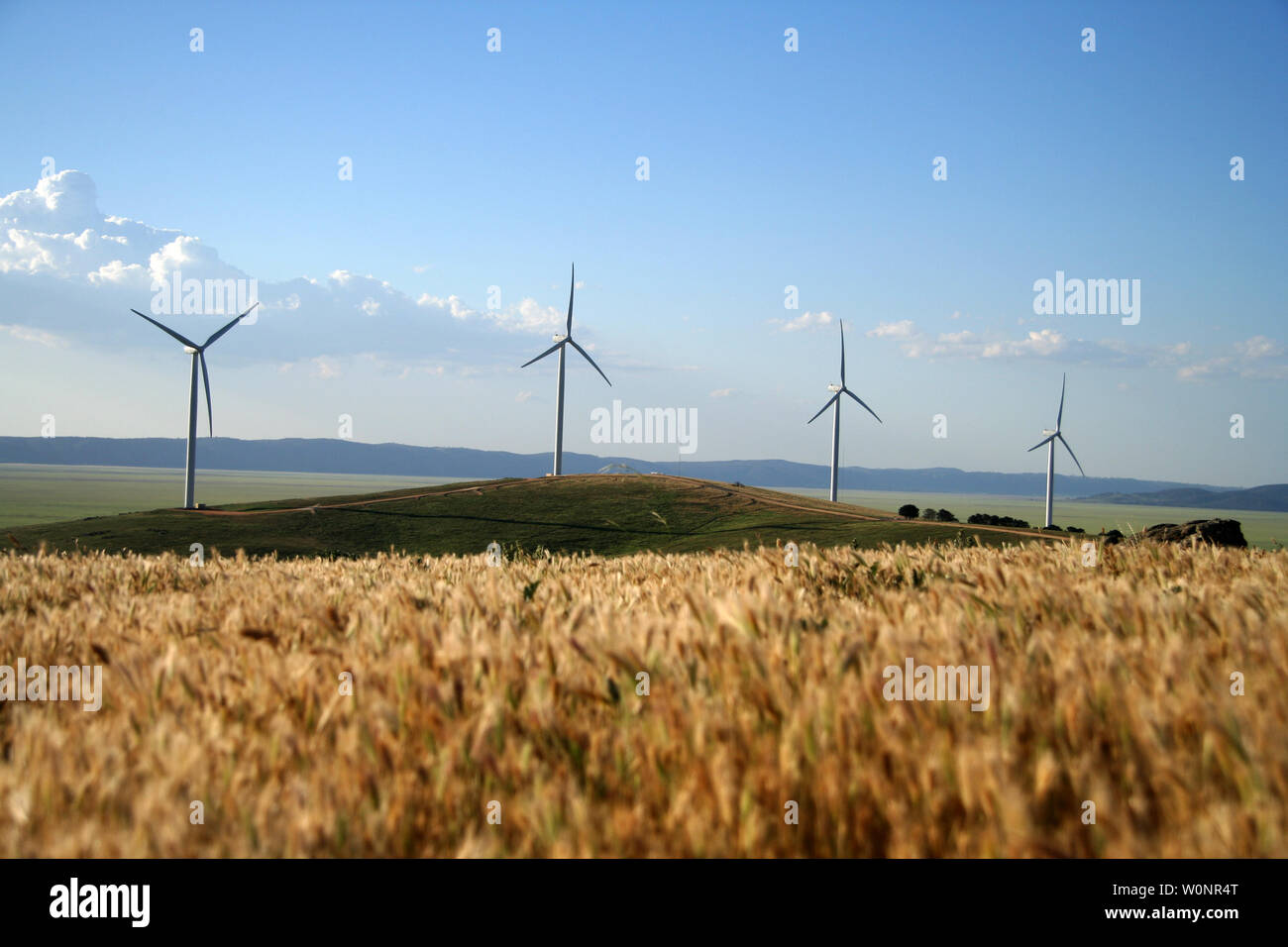 capital wind farm near canberra, australia Stock Photo - Alamy