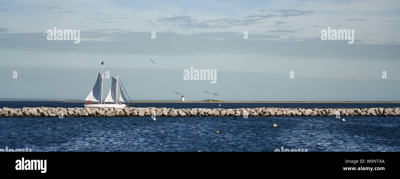 Sailboat and the Long Point Light Station in the distance panoramic ...