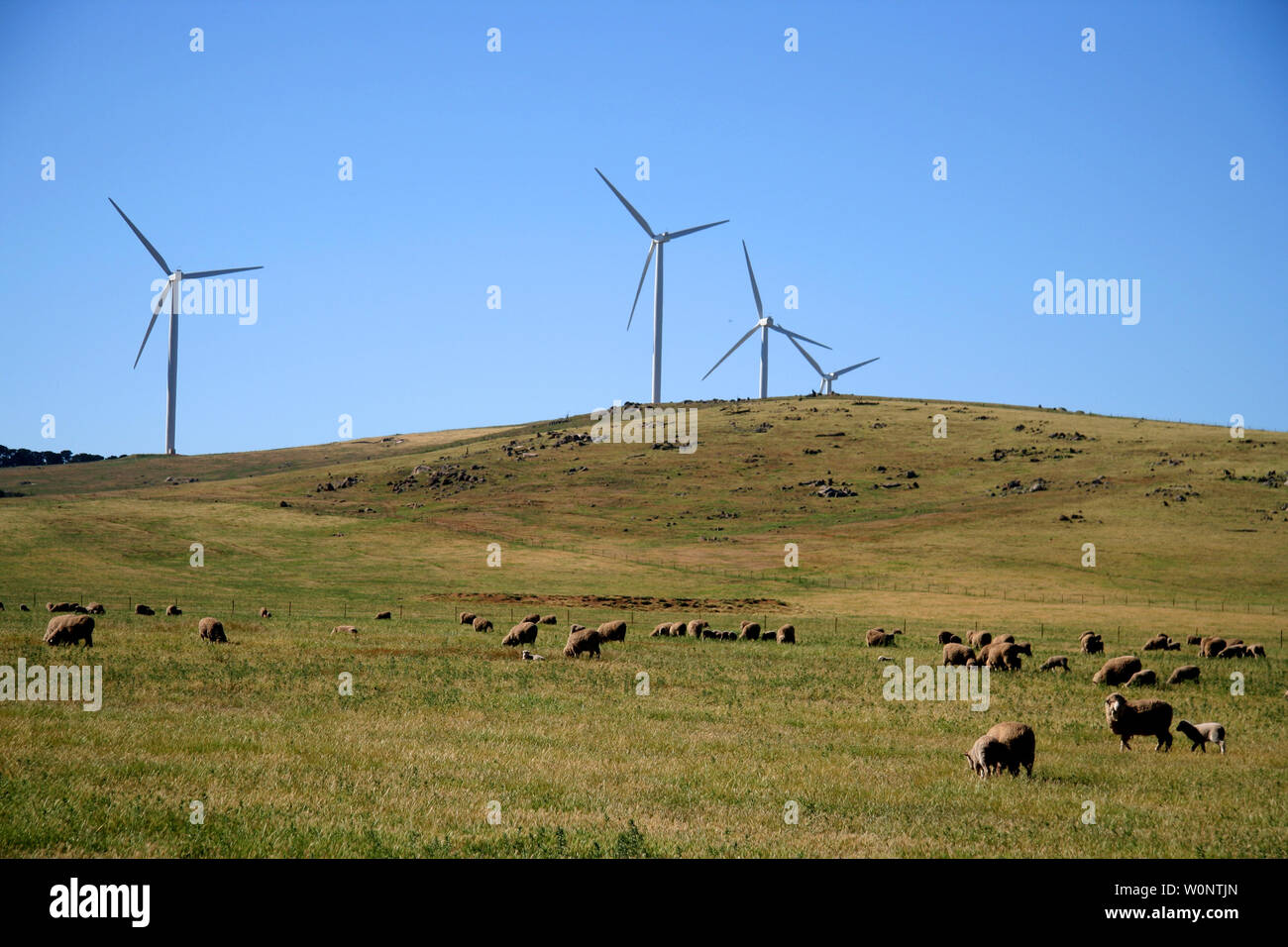 Capital wind farm australia hi-res stock photography and images - Alamy