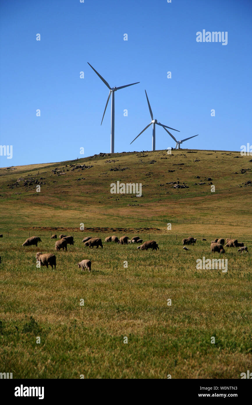 capital wind farm near canberra, australia Stock Photo - Alamy