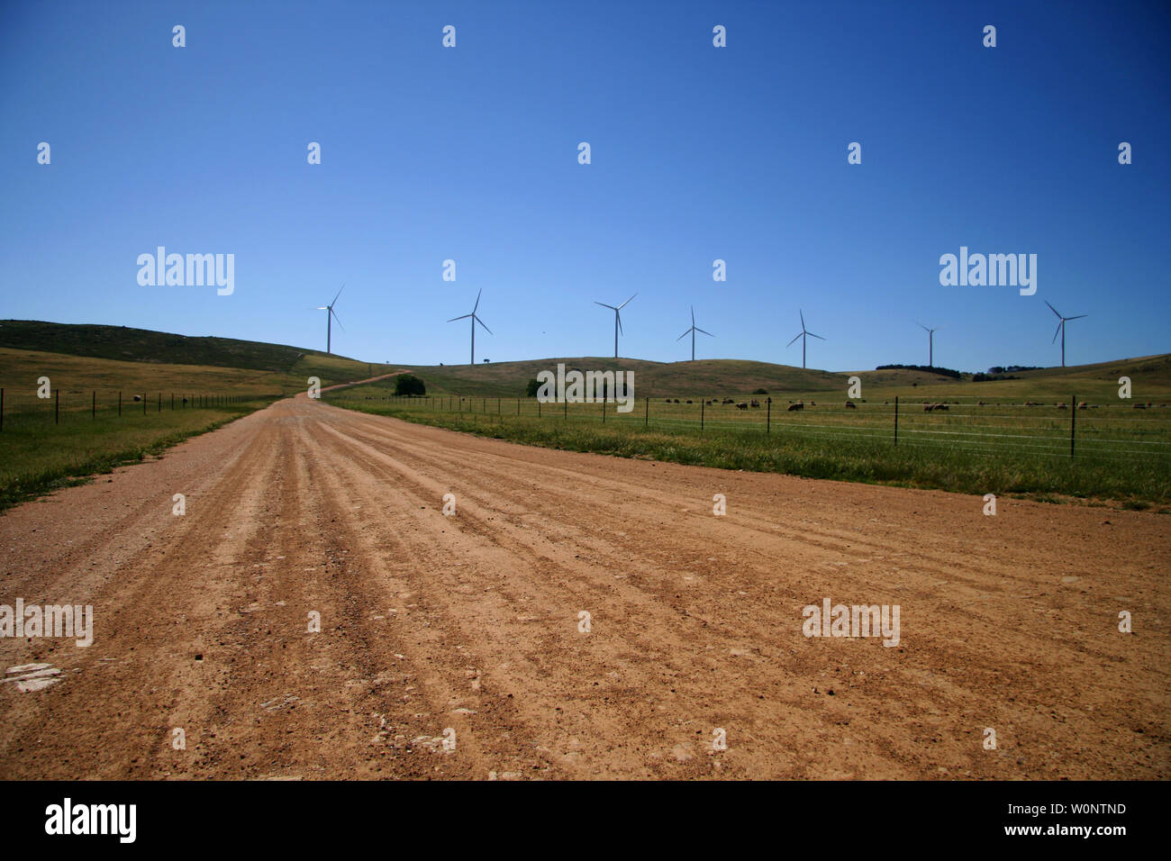 capital wind farm near canberra, australia Stock Photo - Alamy