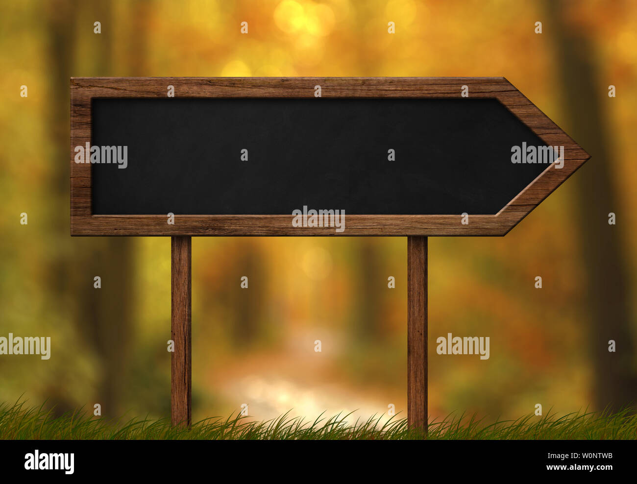 Arrow shaped blackboard sign autumn forest background Stock Photo - Alamy