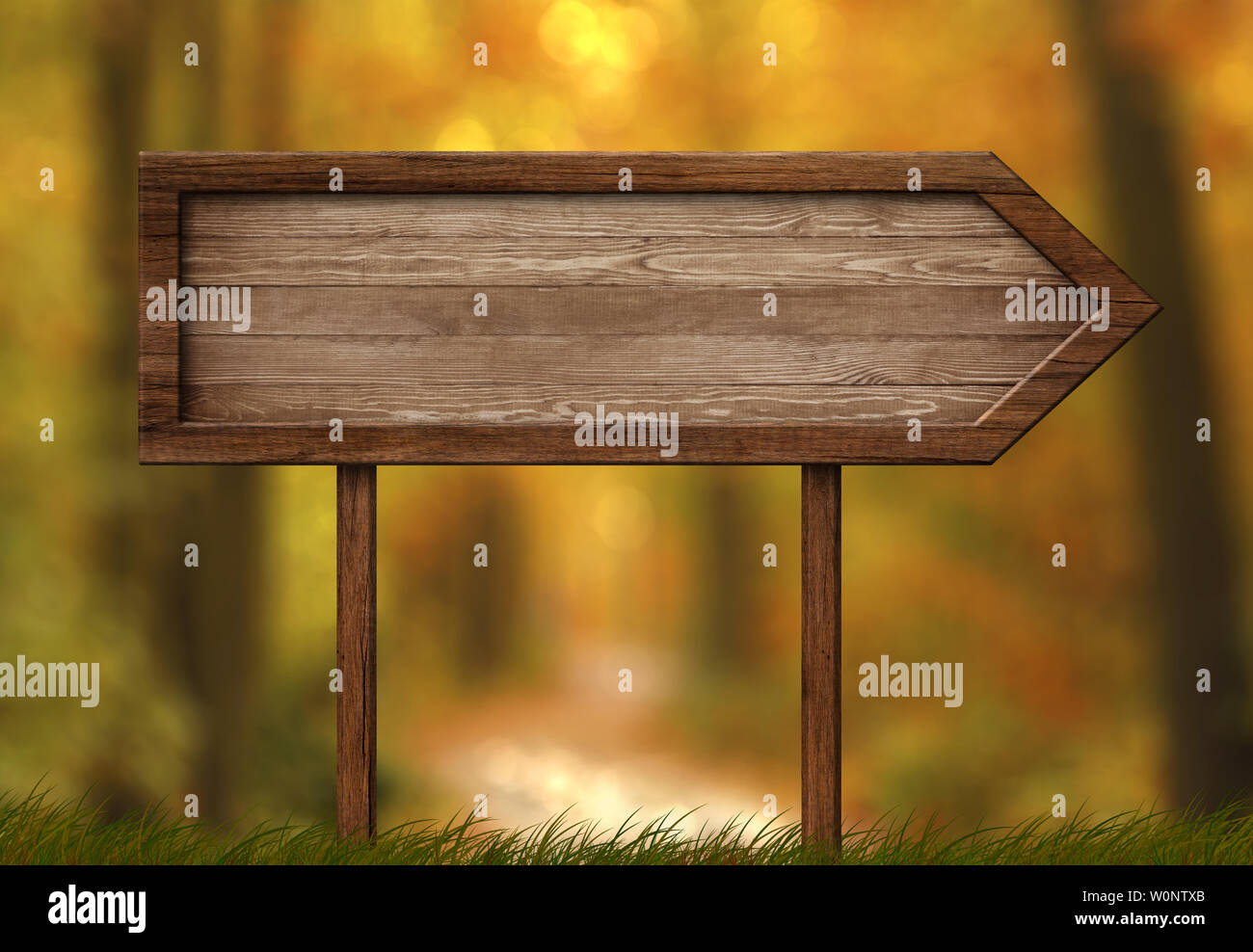 Leaves arrow shaped hi-res stock photography and images - Alamy