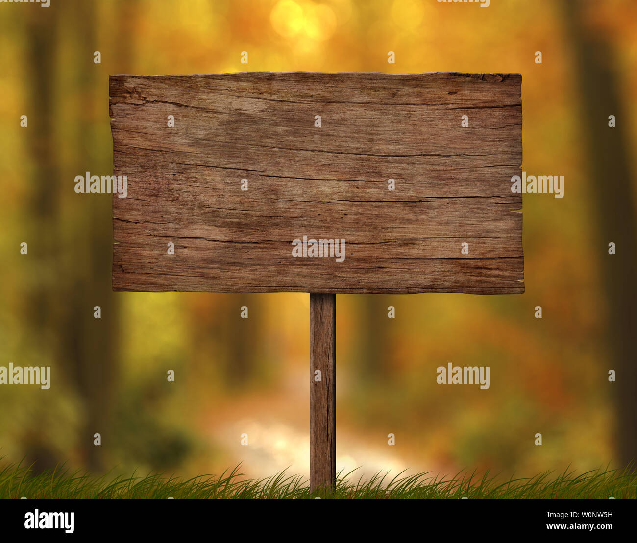 Weathered forest hi-res stock photography and images - Alamy