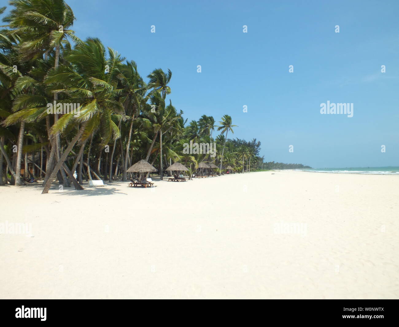 Tropical rainforest of hainan hi-res stock photography and images - Alamy