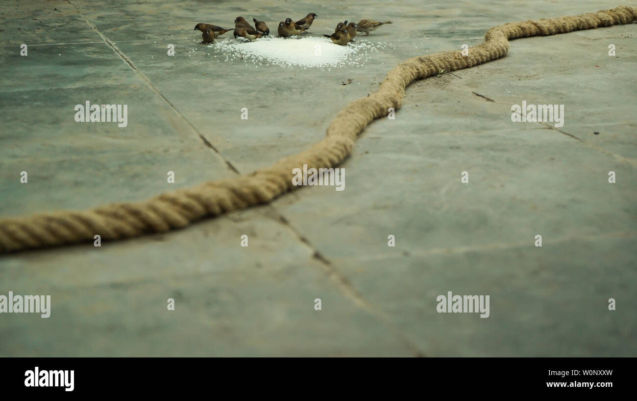 Ancient style life, humanistic market Zen meaning Stock Photo - Alamy