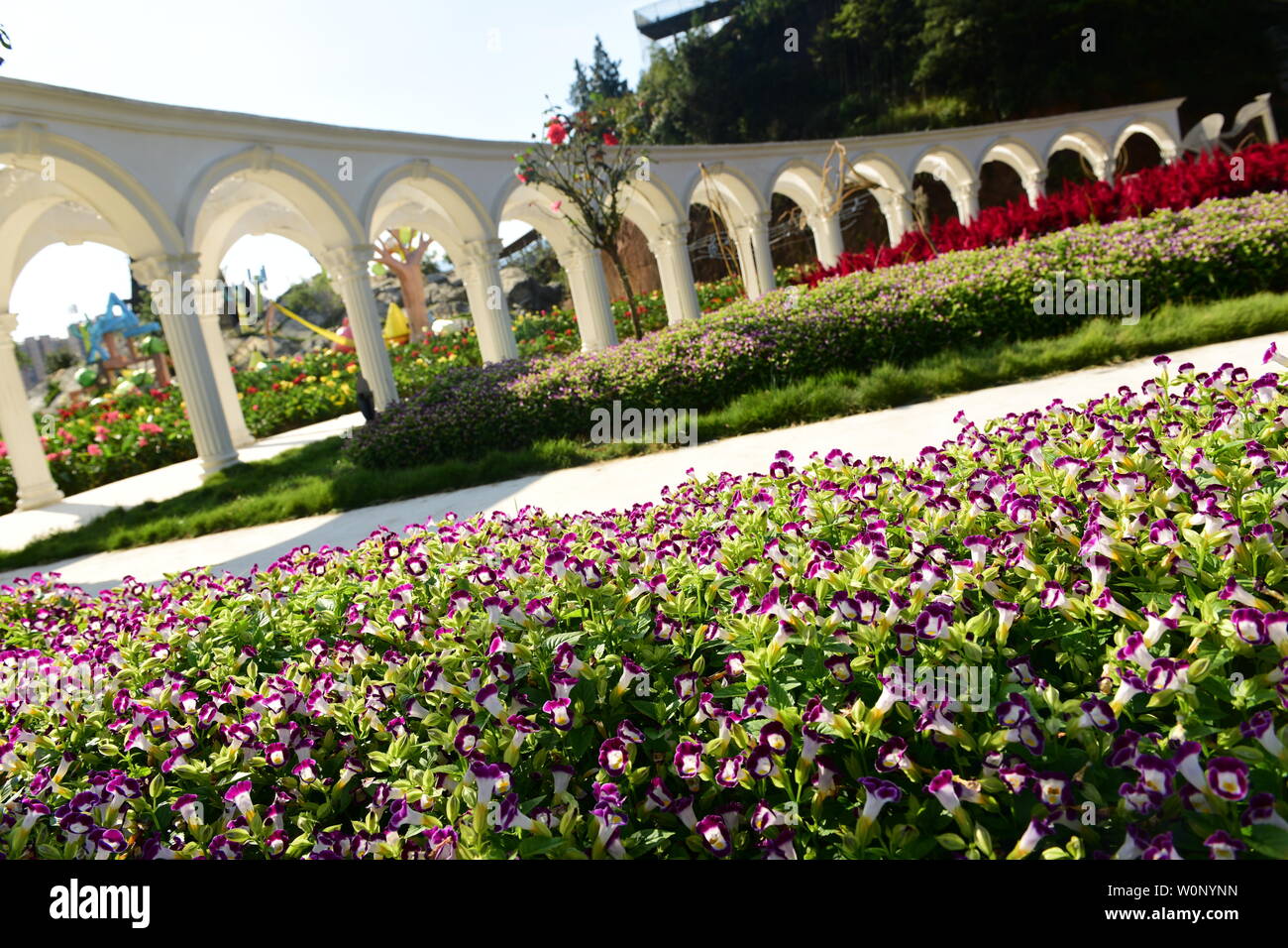 Flower Sea Promenade Stock Photo - Alamy