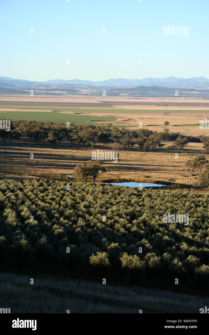 Farm on the liverpool plains northern nsw hi-res stock photography and ...