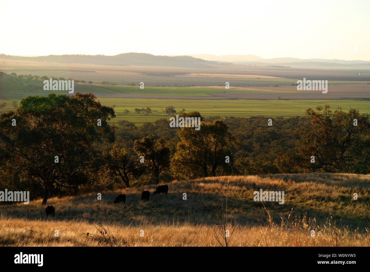 Liverpool plains hi-res stock photography and images - Alamy