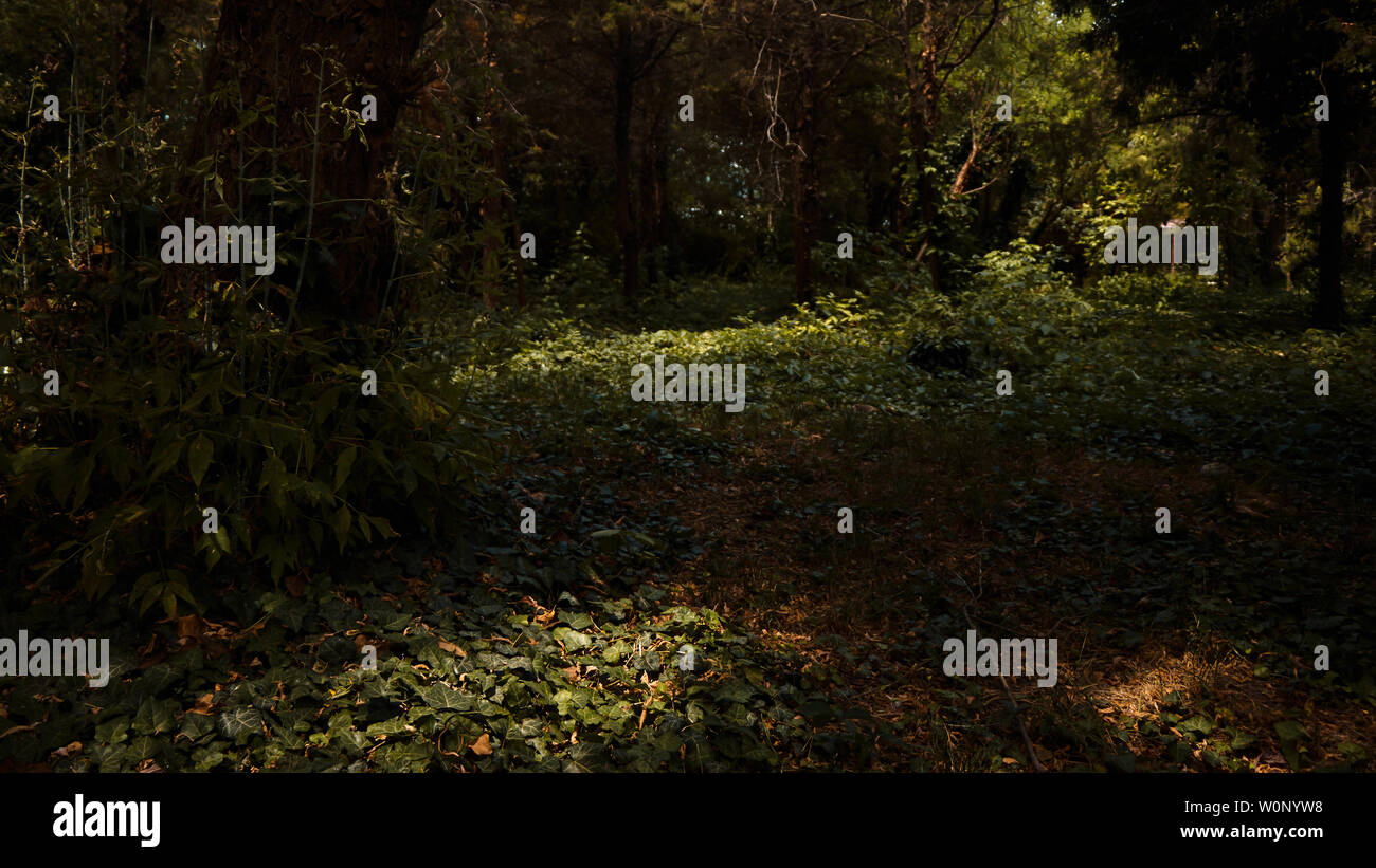 Bruksleden hi-res stock photography and images - Alamy