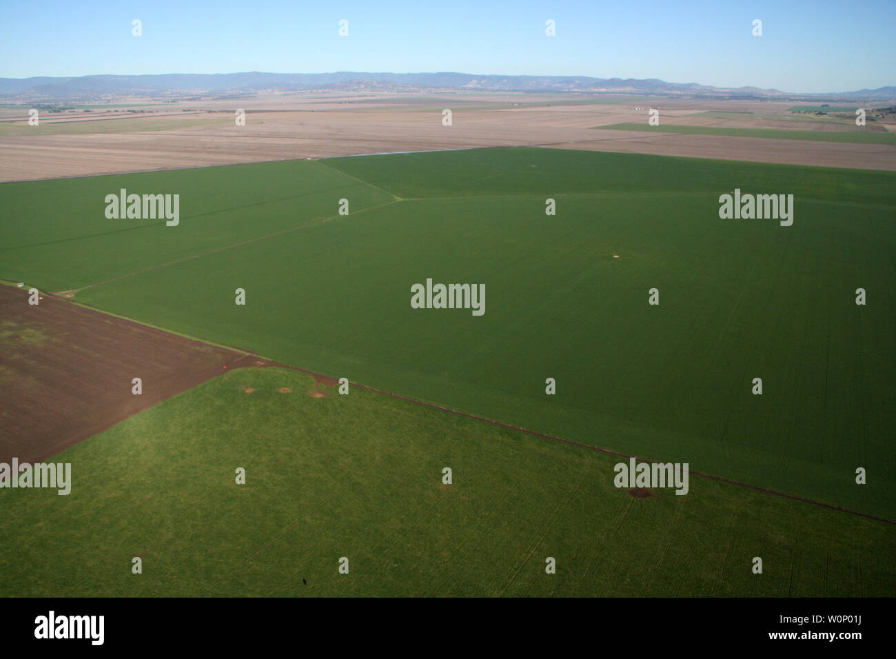 Farm on the liverpool plains northern nsw hi-res stock photography and ...