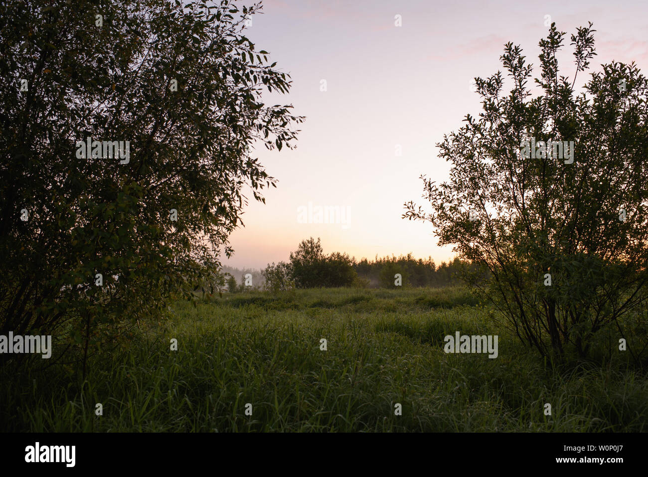 Dawn in a field by a secluded lake with dew on the grass Stock Photo ...