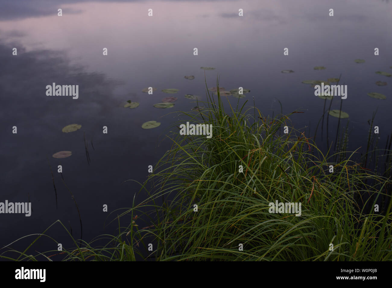 Rising red fog hi-res stock photography and images - Alamy