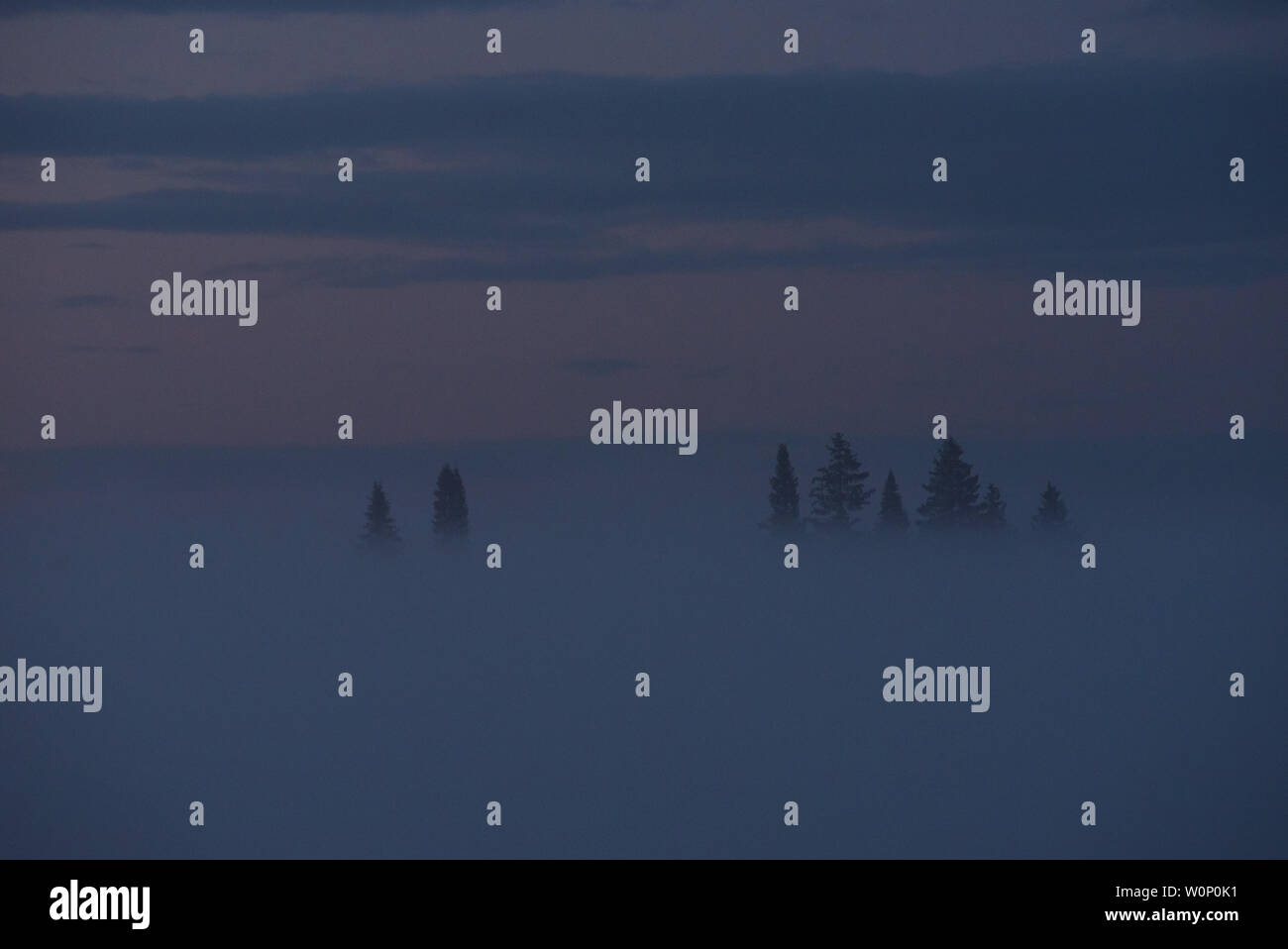 Midnight fog covers the fields and the river and the power lines Stock ...