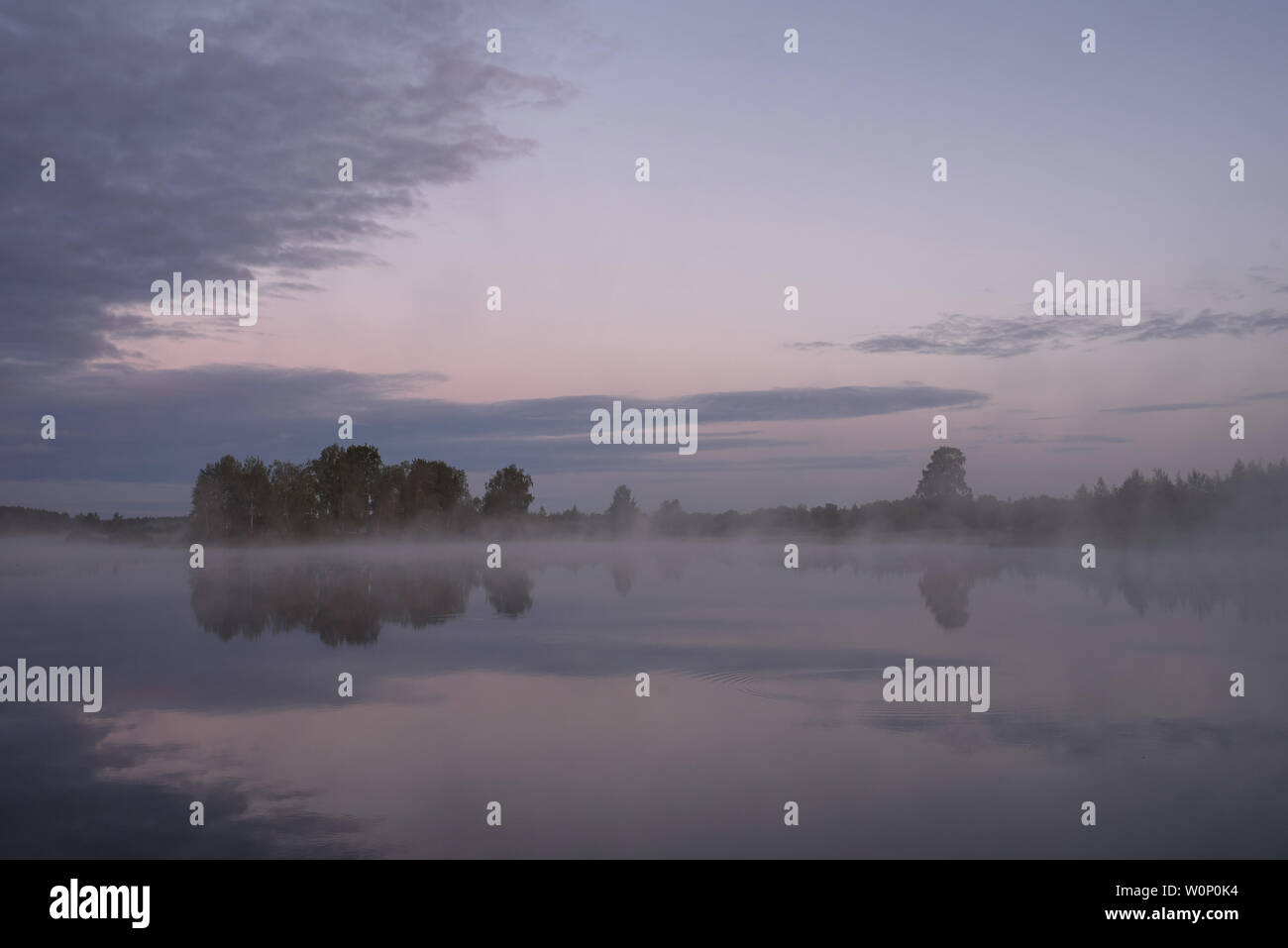 Dawn on the shore of the lake with rising fog Stock Photo - Alamy