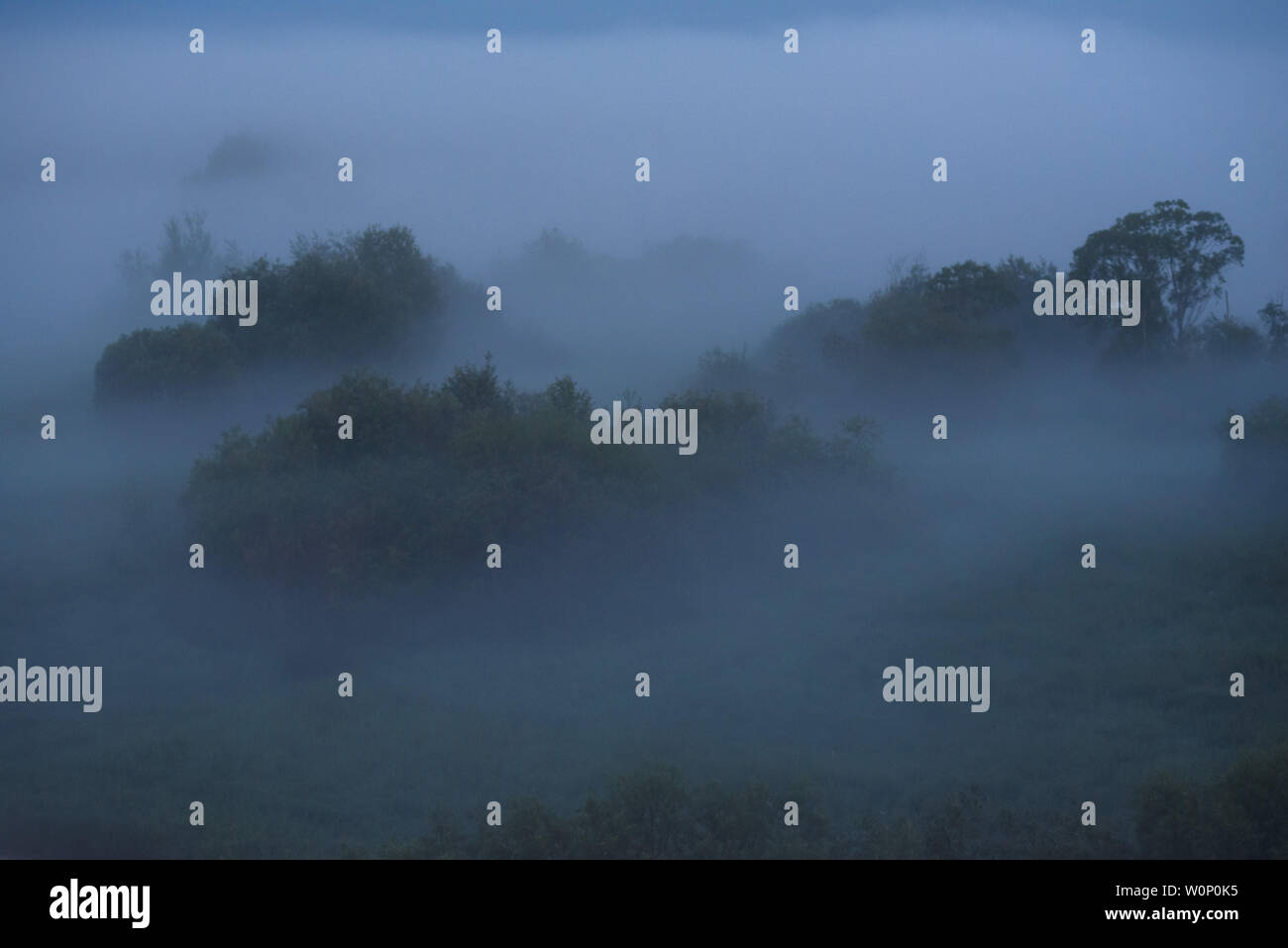 Midnight fog covers the fields and the river and the power lines Stock ...