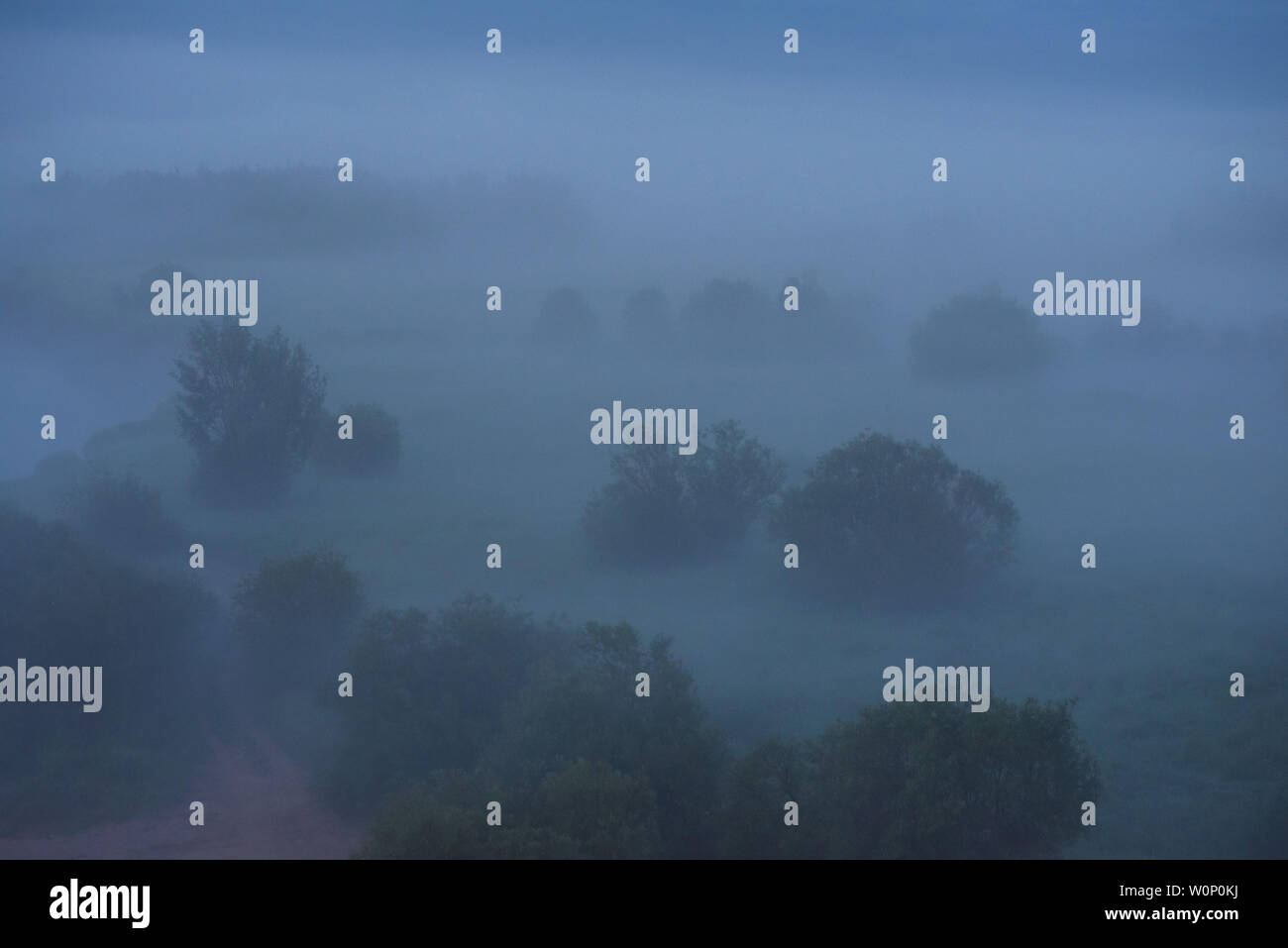 Midnight fog covers the fields and the river and the power lines Stock ...