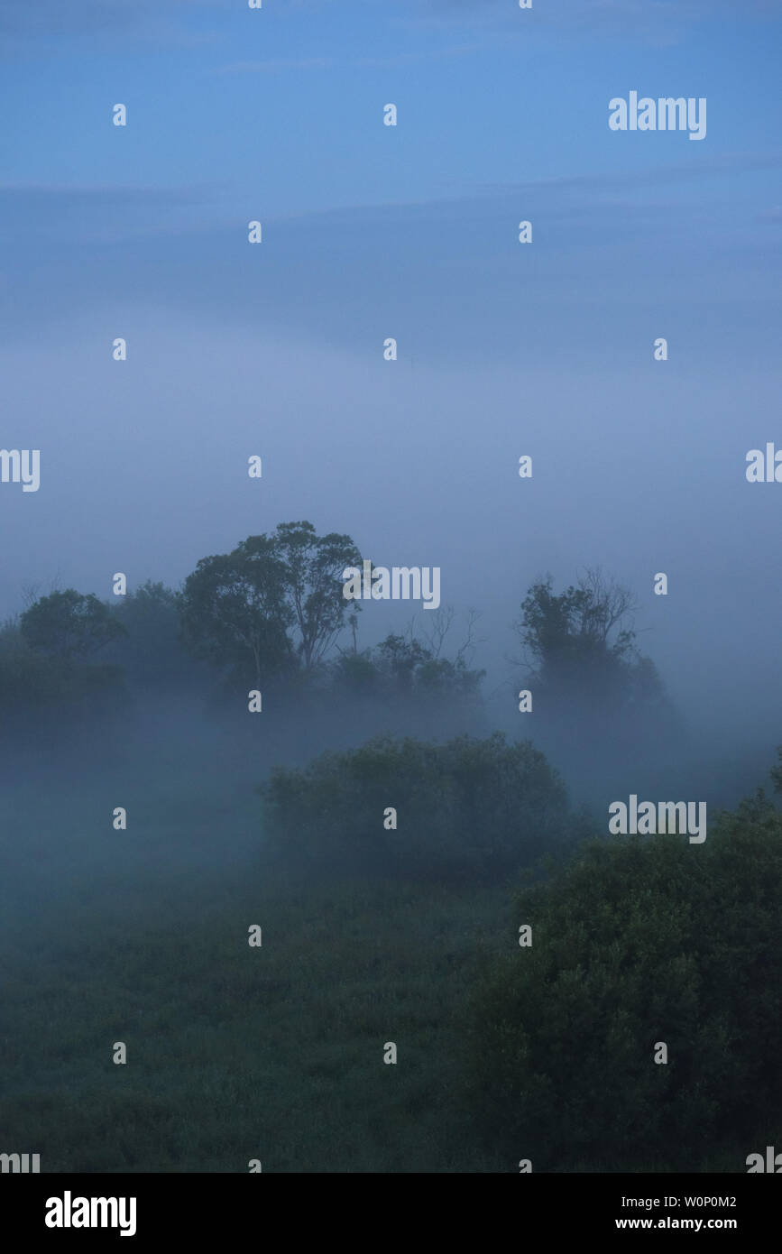 Midnight fog covers the fields and the river and the power lines Stock ...