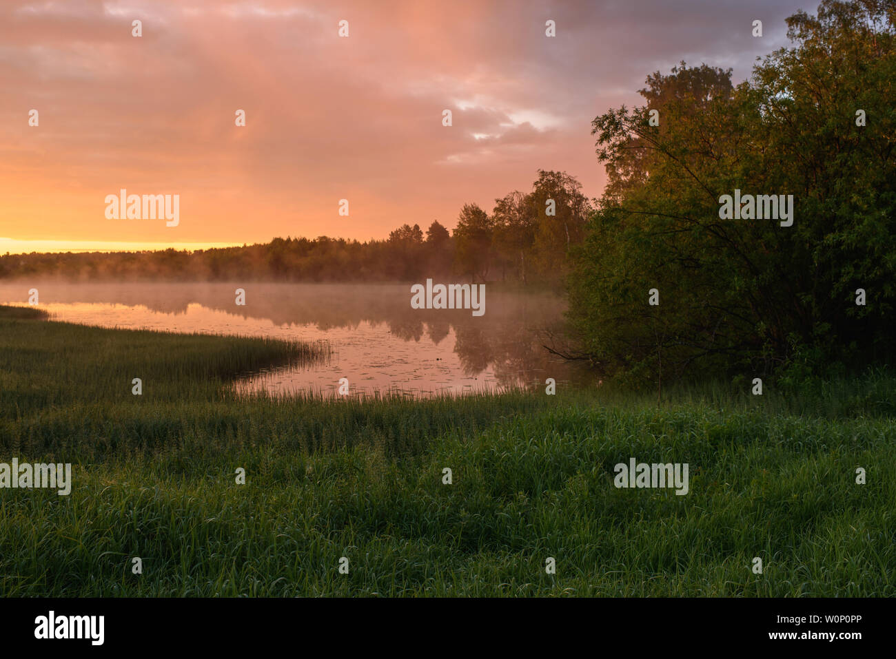 Dawn on the shore of the lake with rising fog Stock Photo - Alamy