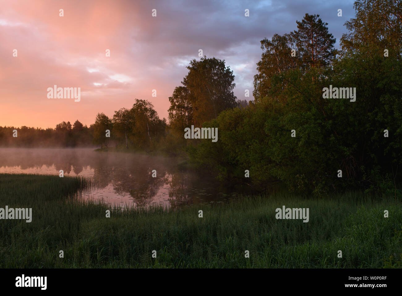 Summer dawn and fog hi-res stock photography and images - Alamy