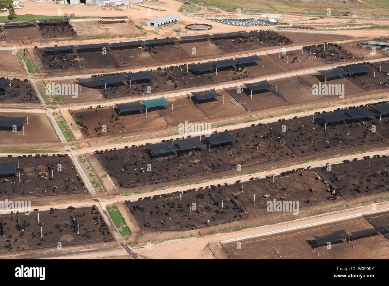 Killara Feedlot northern nsw Stock Photo - Alamy