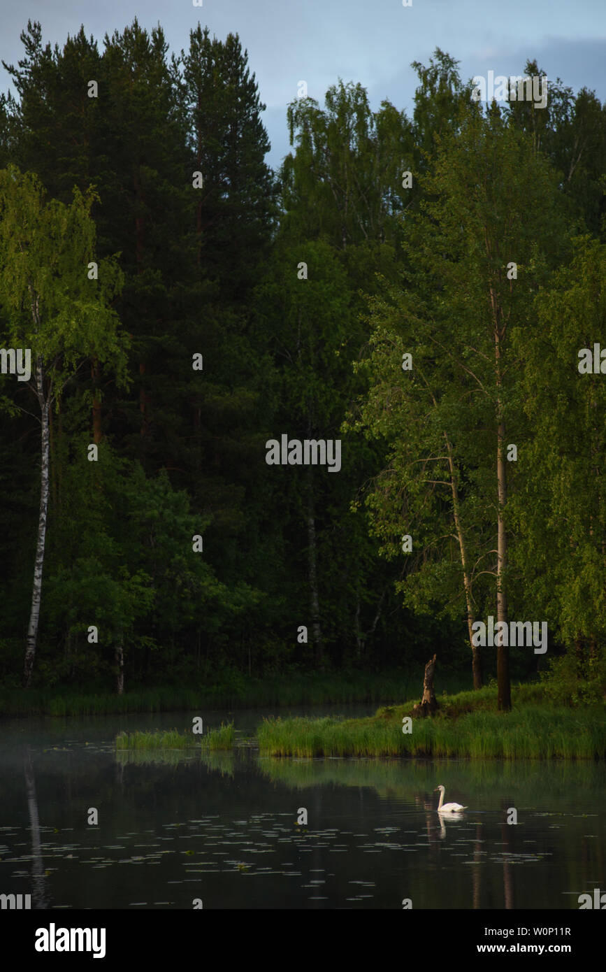 Rising sun metallic hi-res stock photography and images - Alamy