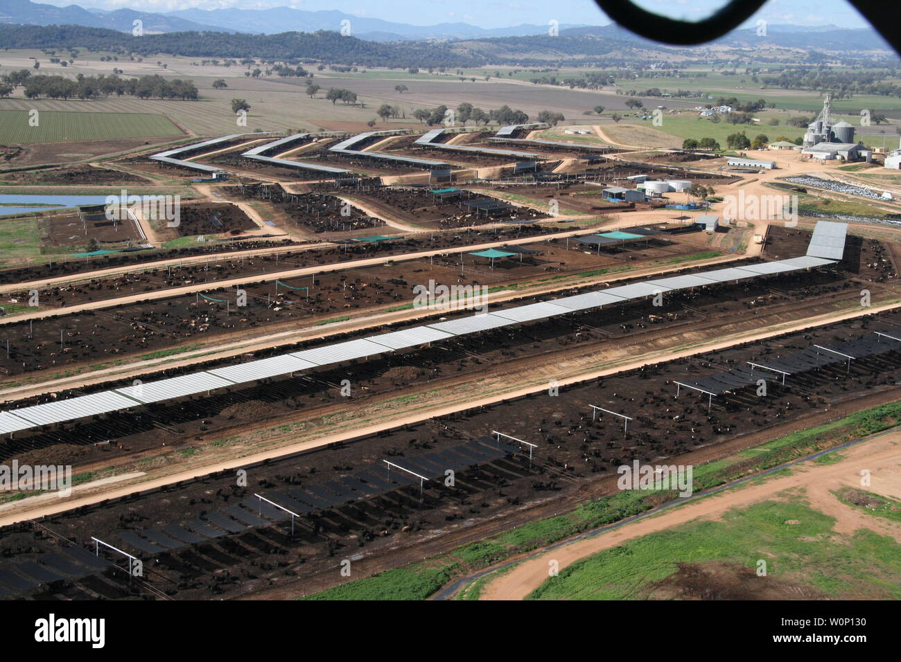 Killara Feedlot northern nsw Stock Photo - Alamy