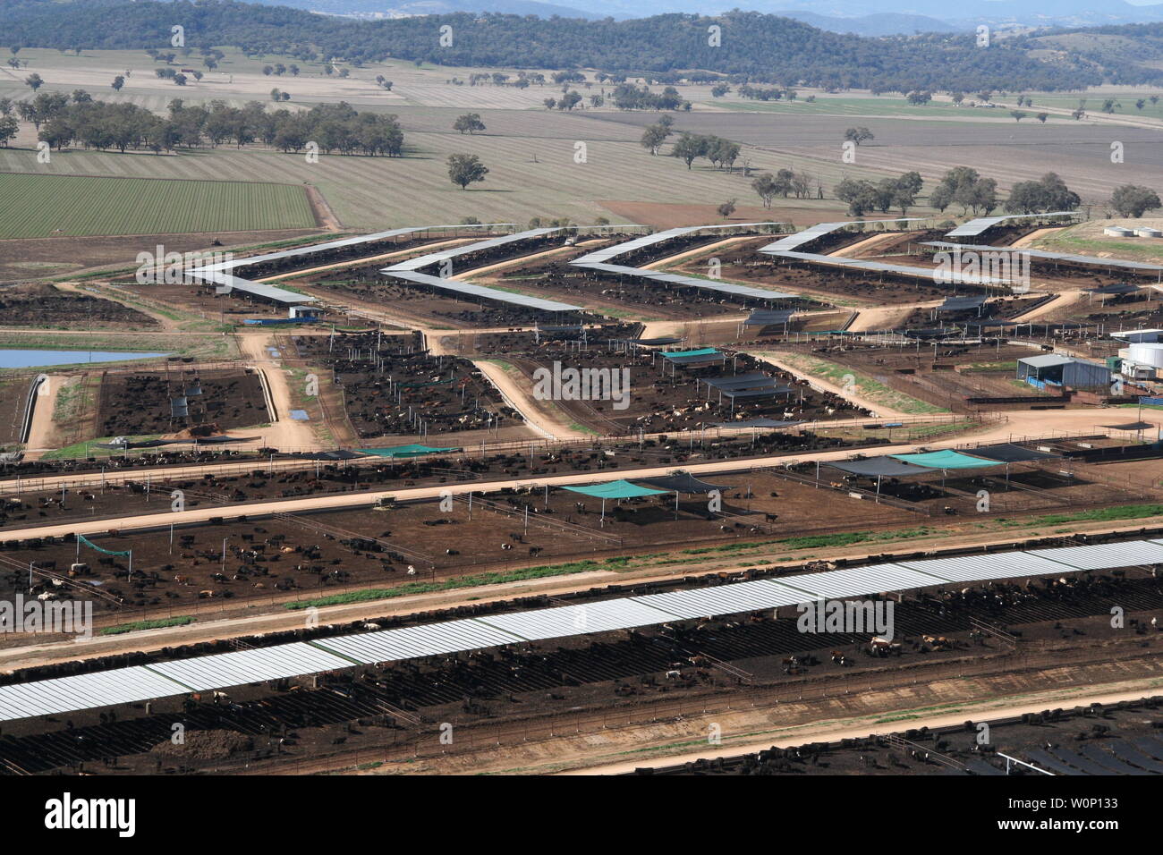 Killara Feedlot northern nsw Stock Photo - Alamy