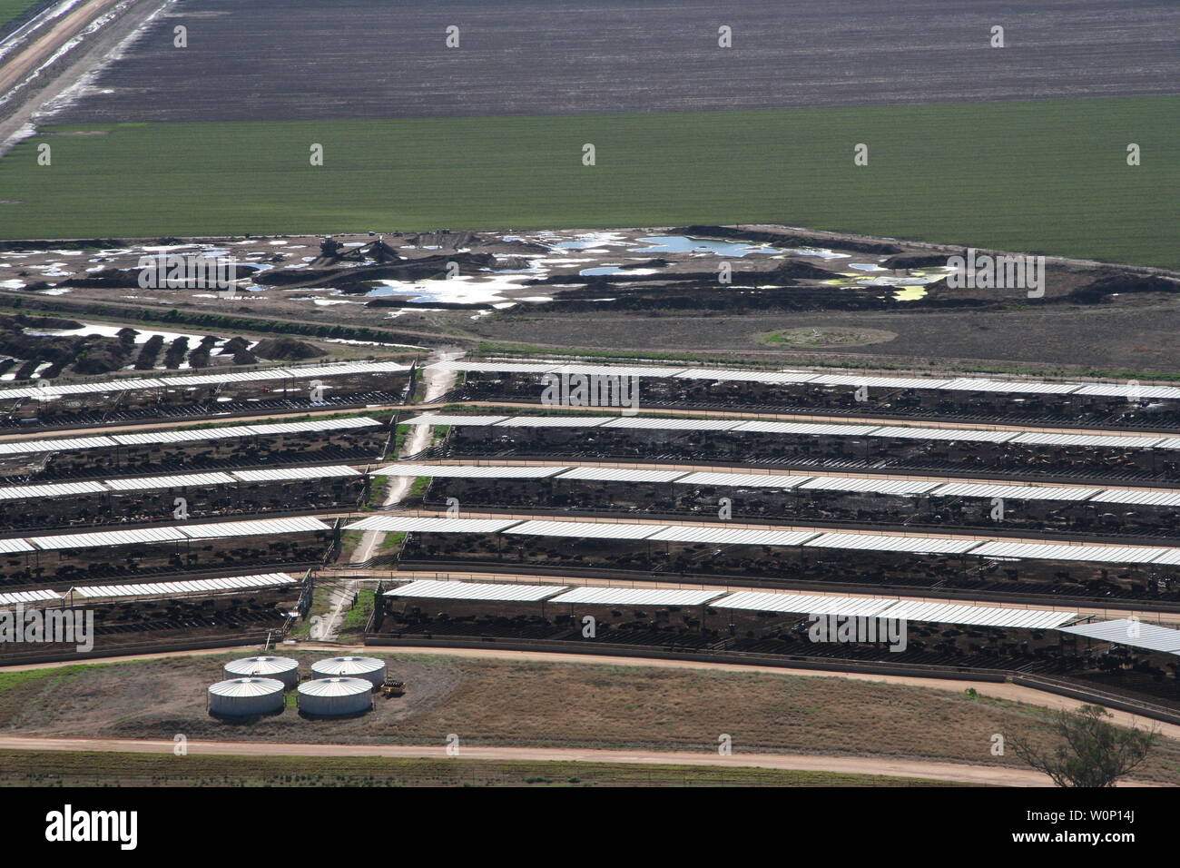Killara Feedlot northern nsw Stock Photo - Alamy