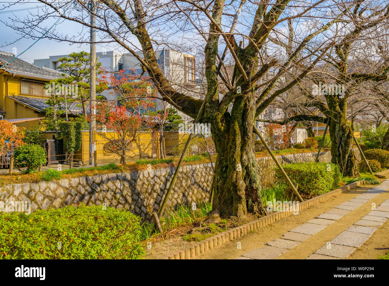 KYOTO, JAPAN, JANUARY - 2019 - Beautiful street winter scene at famous ...